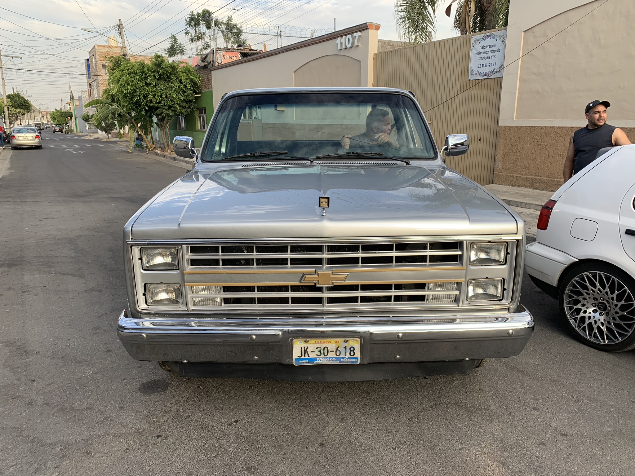 Chevrolet Cheyenne 84 - Eduardo Detallado